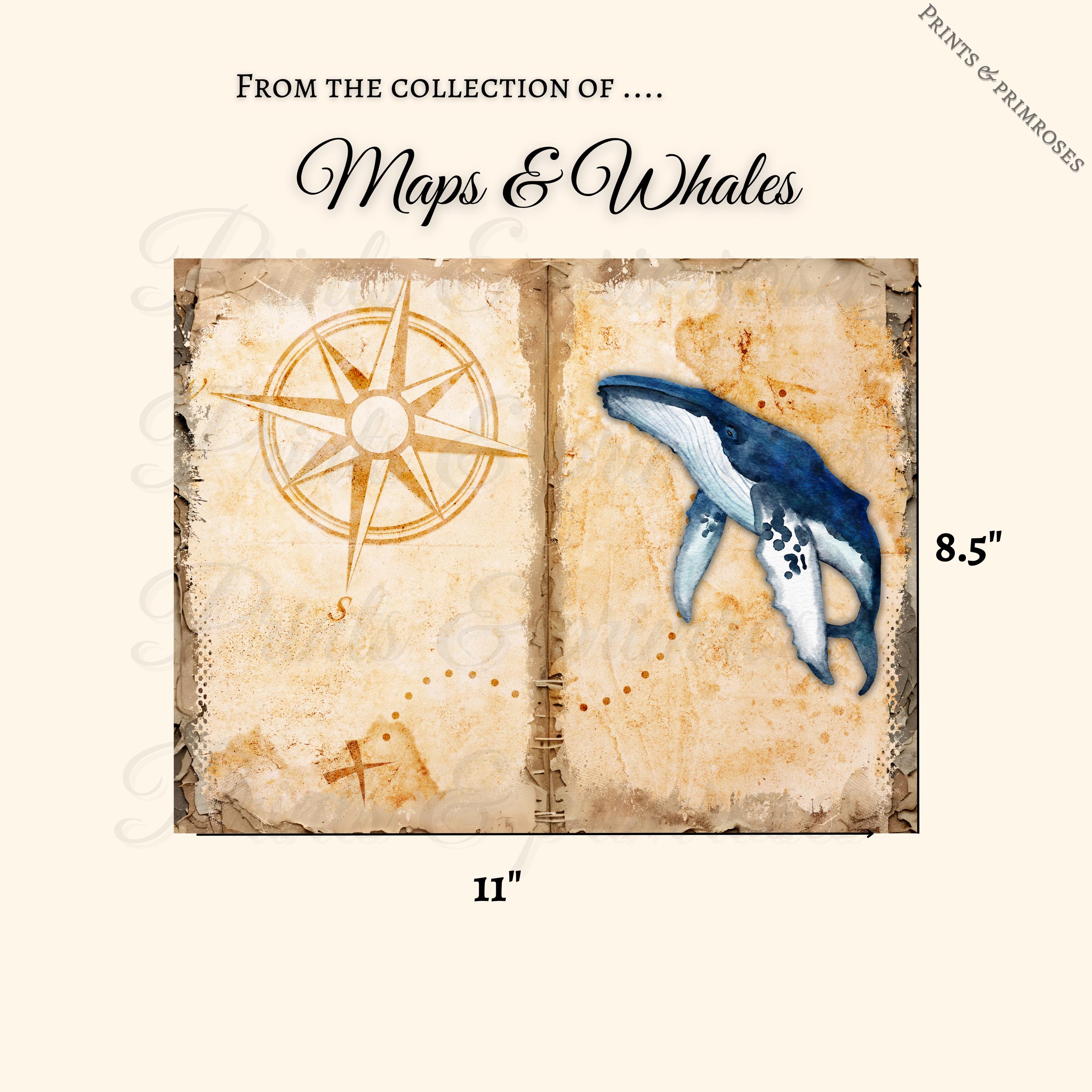 Maps and Whales | Printable Vintage Map Junk Journal Pages | Digital ...