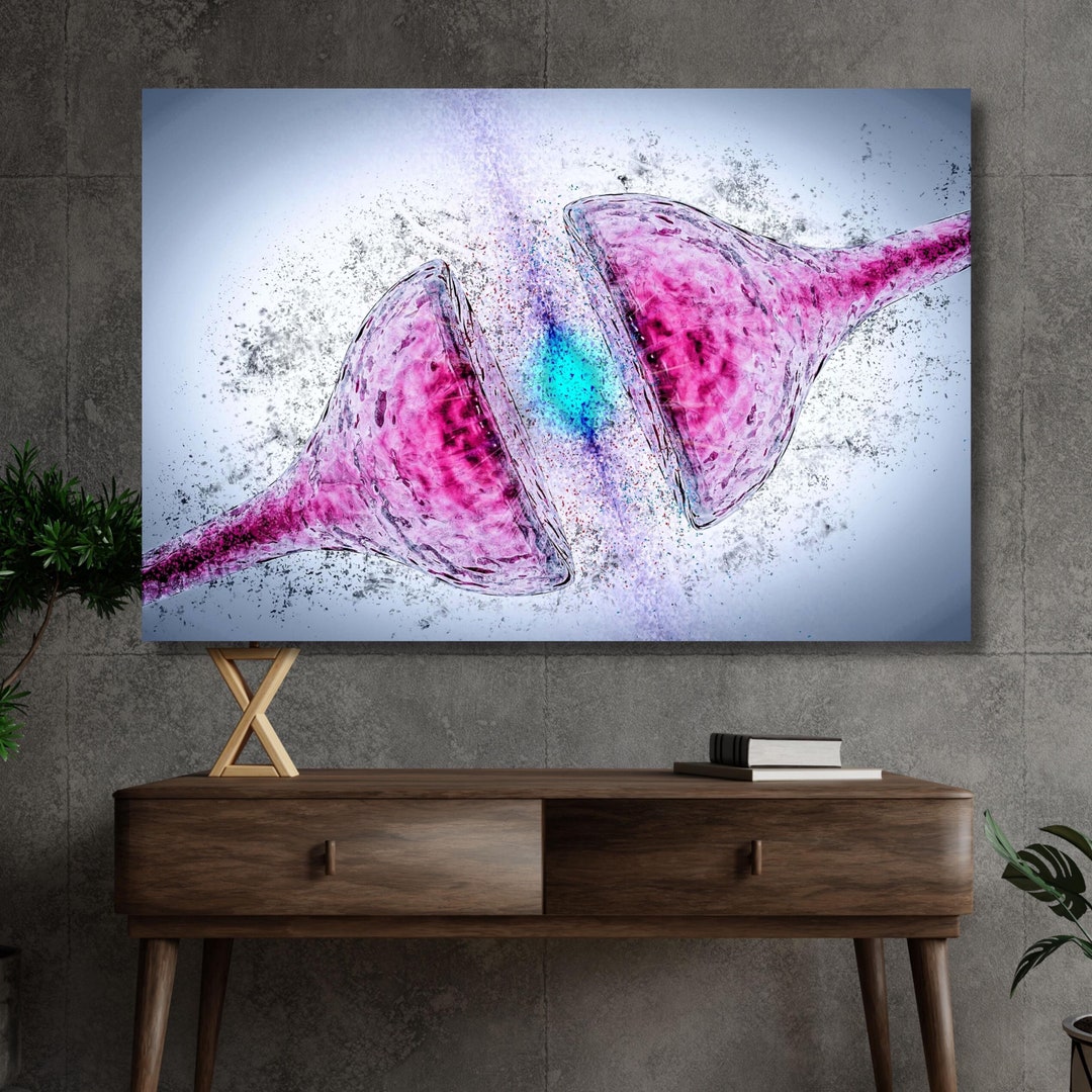 Synapses Cortical Neurons Medical,science Canvas,science Neurology ...