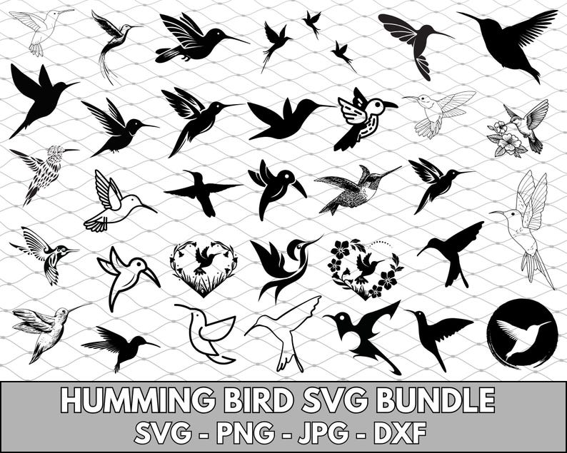 Hummingbird Flower SVG Bundle: Floral Bird Clipart (digital Files) - Etsy