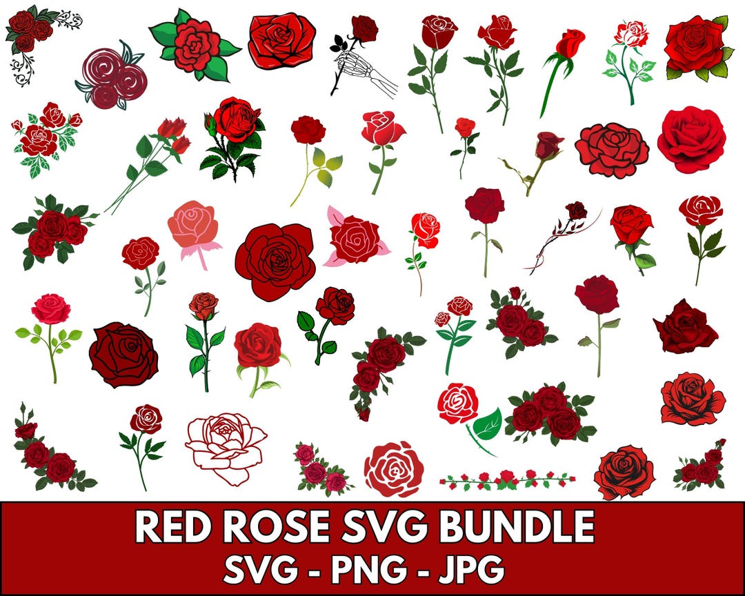 Red Rose Clipart | Red Rose Svg | Rose Svg Bundle | Red Rose Png ...