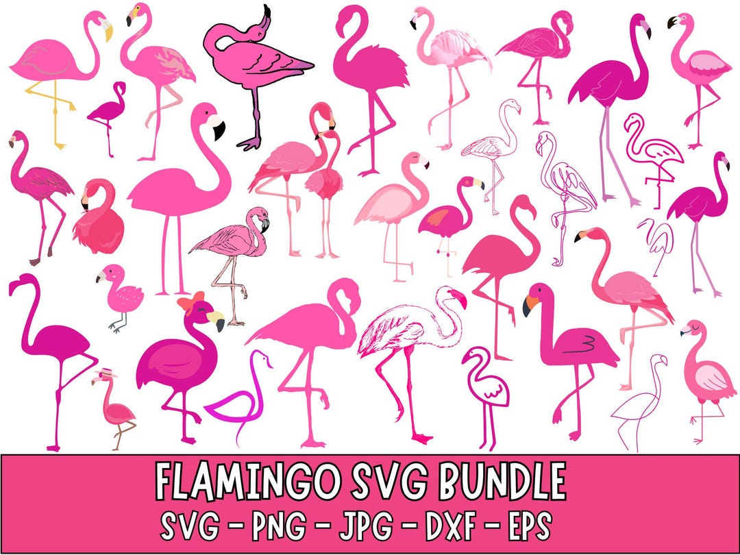 Flamingo SVG Bundle: Cut Files for Cricut, Silhouette (digital Download ...