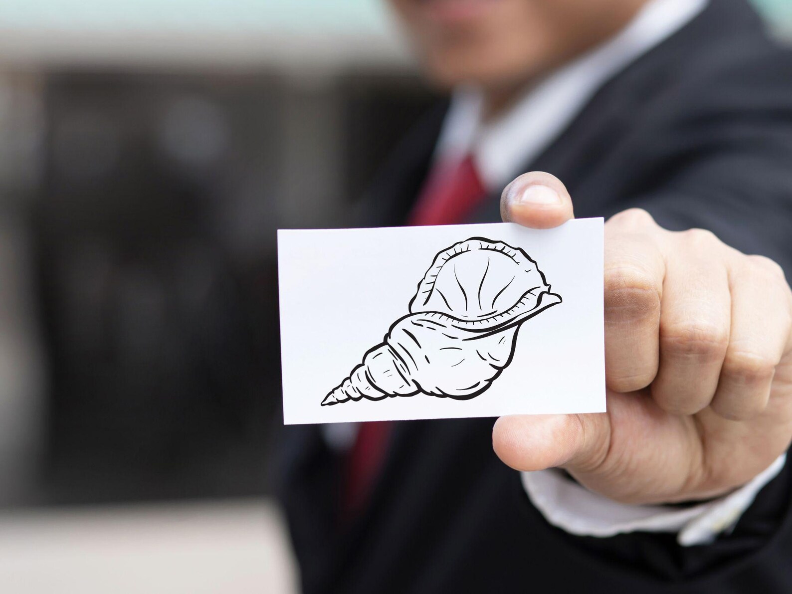 High Quality Sea Shell SVG Bundle, Sea Shell Dxf, Sea Shell Png, Sea ...