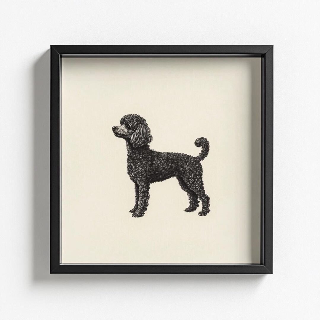 Poodle Print Poodle Art Print Poodle Wall Decor Poodle Illustration ...