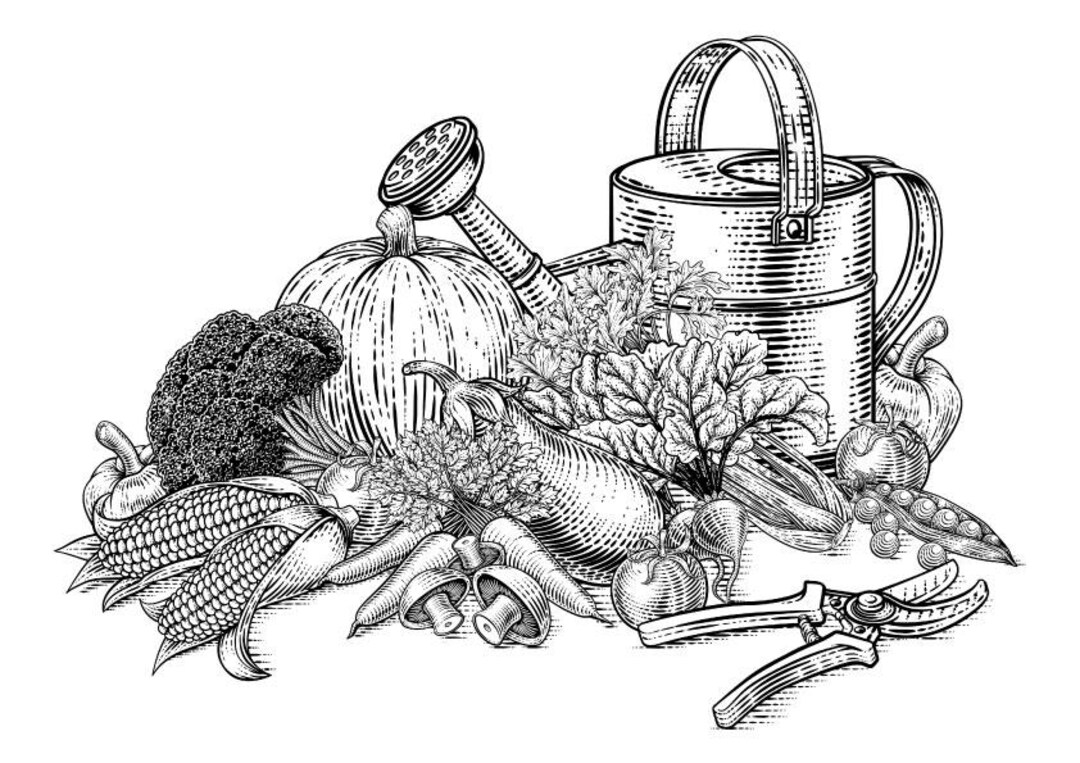 Happy Autumn Vegetable Out of the Garden Coloring Page Easy for Adults ...
