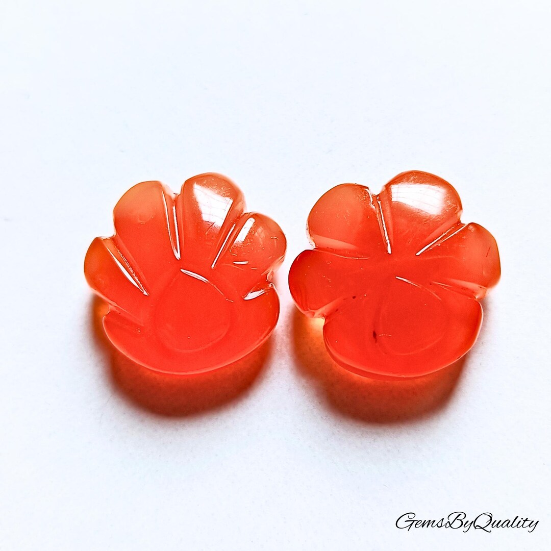 Carnelian Dog Paw Carving: Hand Carved Gemstone Beads (13 MM) - Etsy