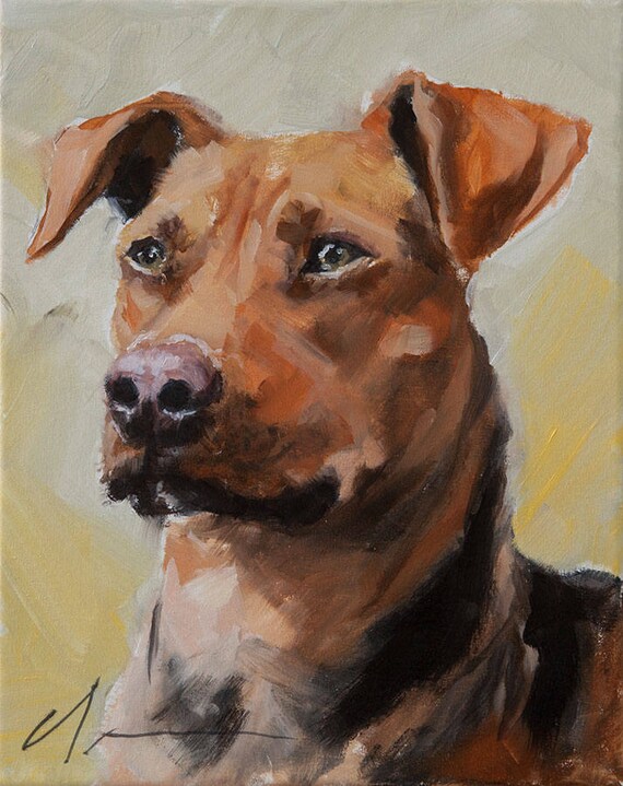 Rhodesian Ridgeback Terrier Mix Puppies