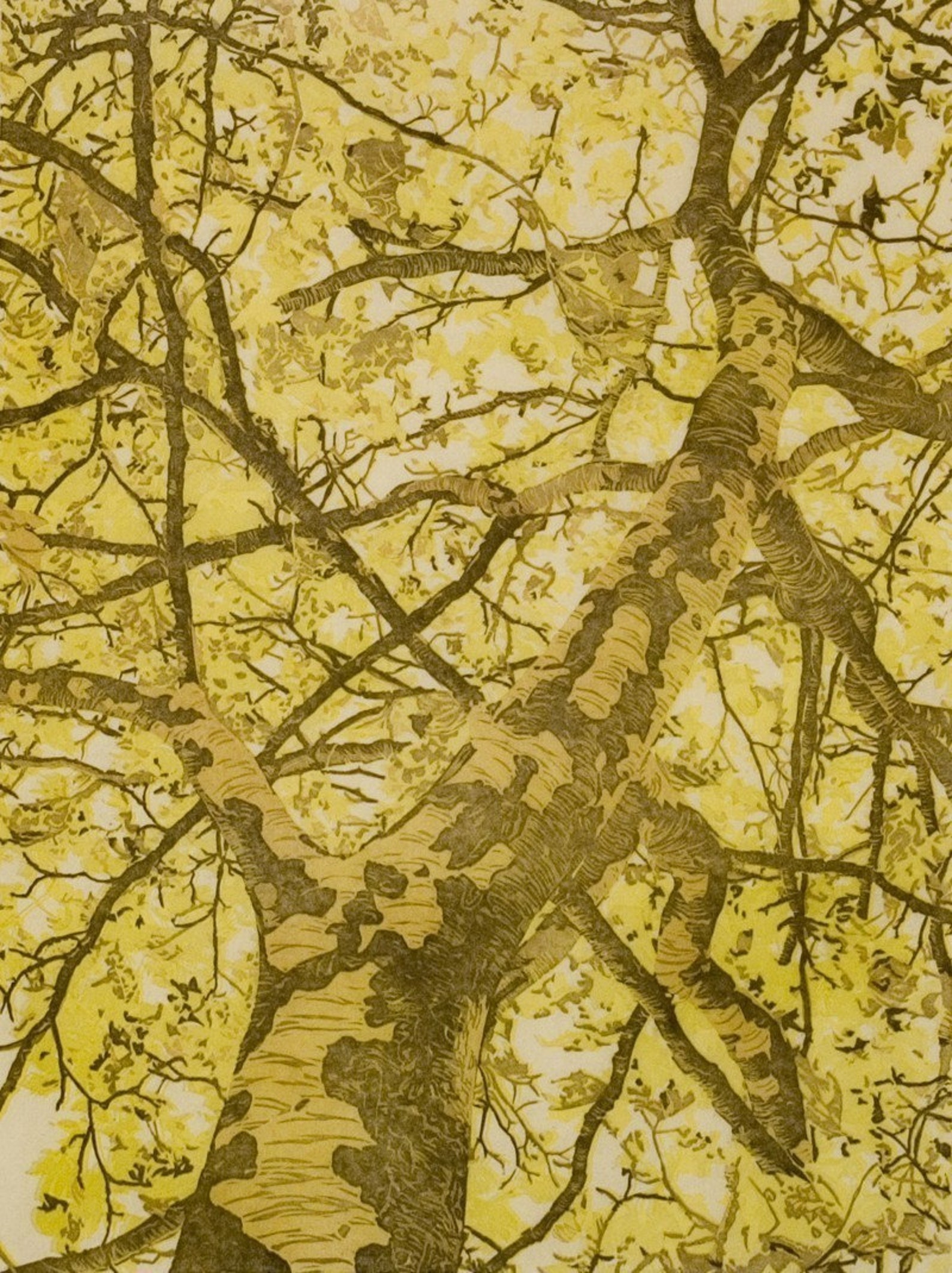 Sycamore Relief Linoleum Print Reduction Print Hand Pulled - Etsy Canada