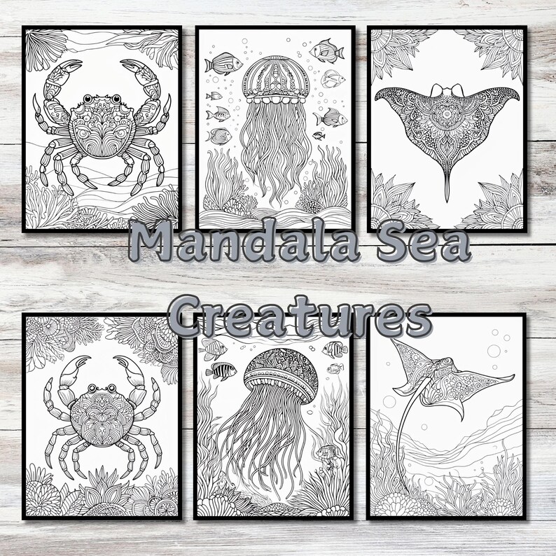 Sea Creature Mandala Colouring Pages | Ocean Animal Printables | Ocean ...