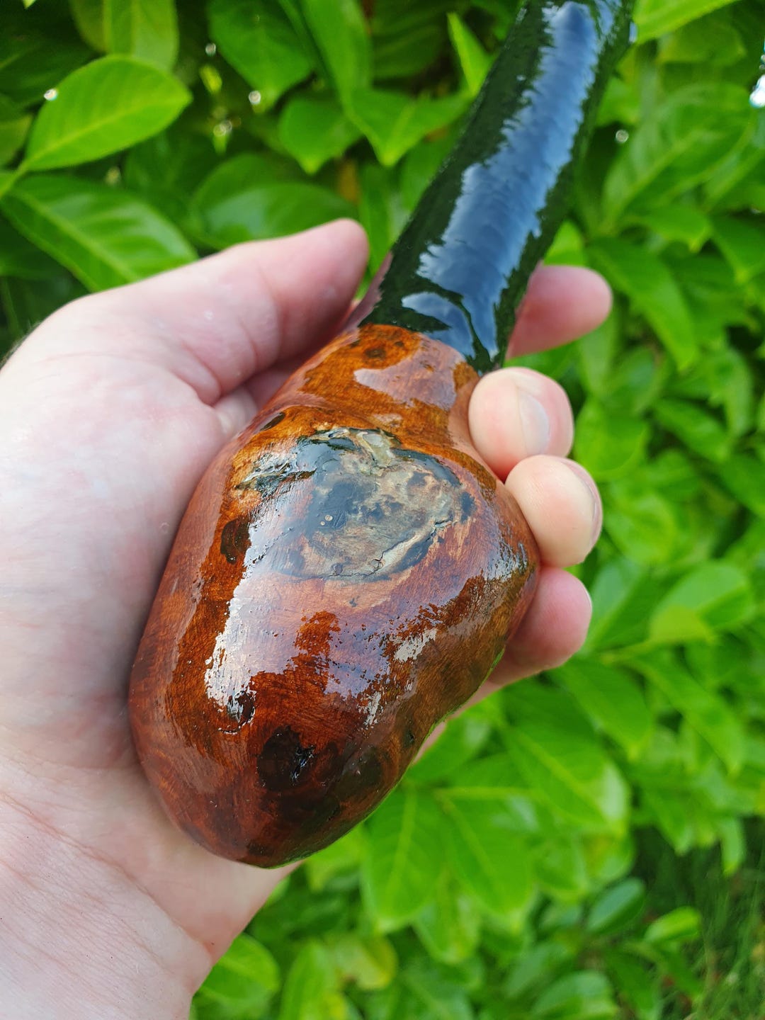 Handcrafted Irish Blackthorn Walking Stick (traditional Irish Knuckle ...