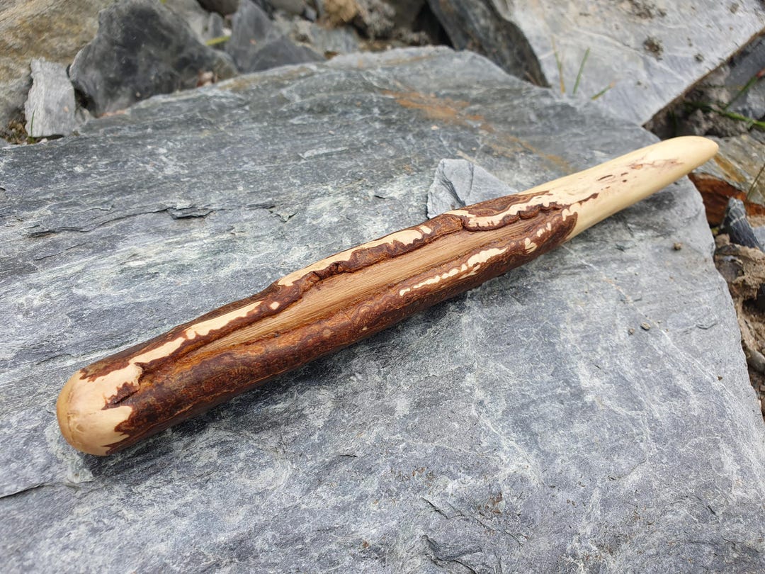 9.5-inch Irish Hazel Wand Beautiful Cracked Bark, Caused by Irish Deer ...