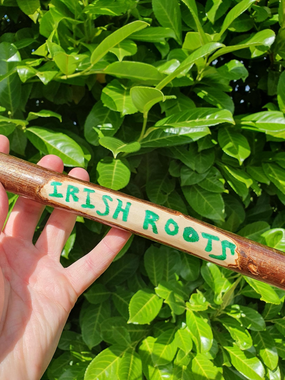 Handcrafted Irish Hazel Walking Stick: Natural Bark Hiking Cane - Etsy