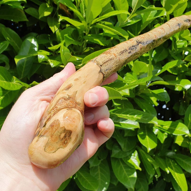 Walking Stick Cane - Etsy