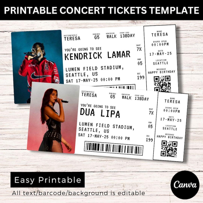 Editable Concert Ticket Template Surprise Gift Custom Concert Ticket ...