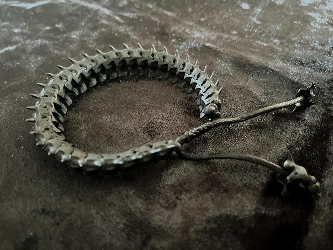 Snake Bone Spiky Spike Vertebrae Real Spine Bead Black Bracelet Bangle ...
