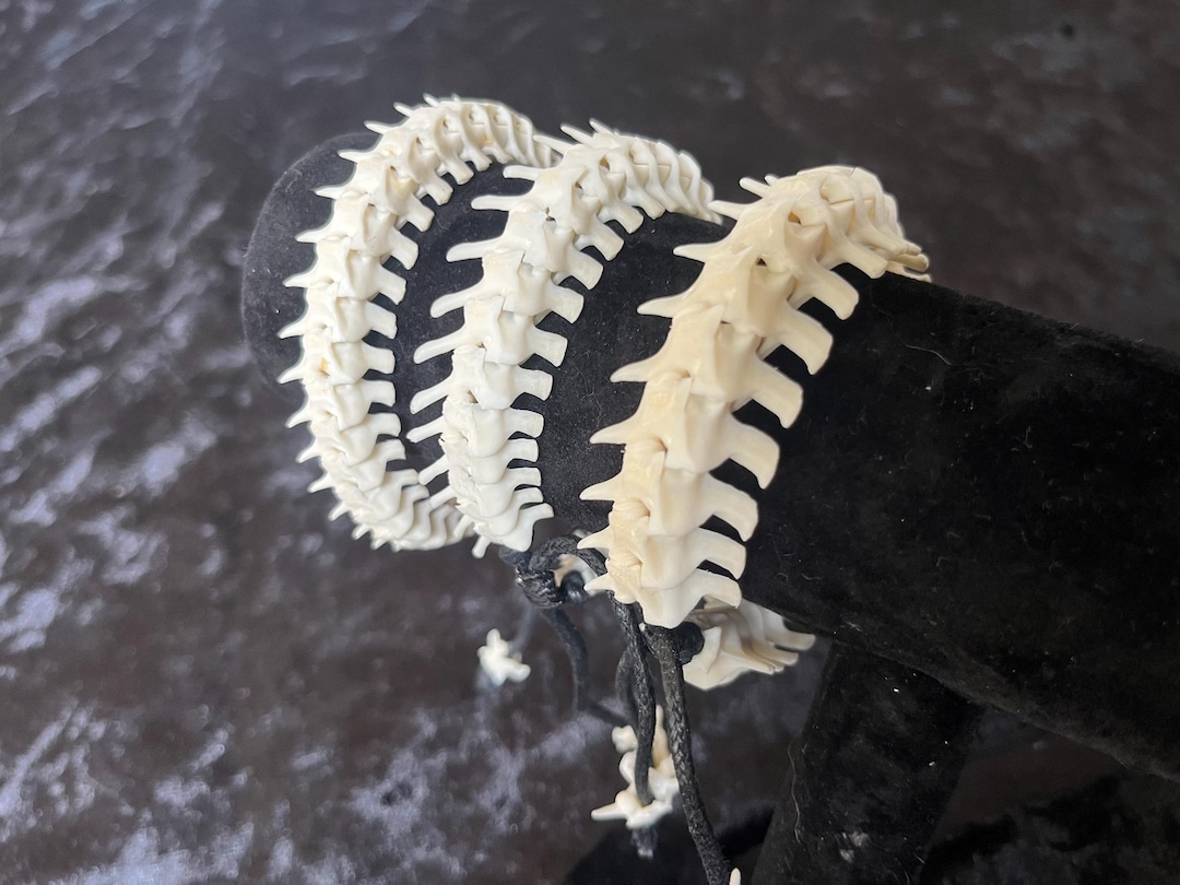 Snake Bone Spiky Spike Vertebrae Real Spine Bead White Bracelet Bangle ...