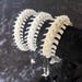 Snake Bone Spiky Spike Vertebrae Real Spine Bead White Bracelet Bangle ...