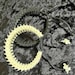 Snake Bone Spiky Spike Vertebrae Real Spine Bead White Bracelet Bangle ...