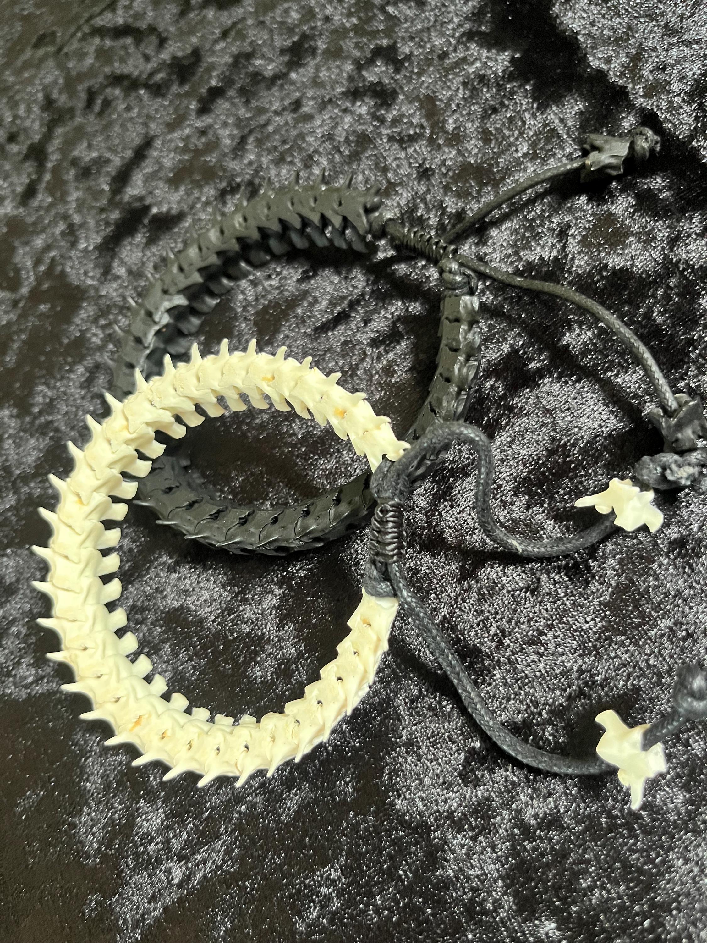 Snake Bone Spiky Spike Vertebrae Real Spine Bead White Bracelet Bangle ...