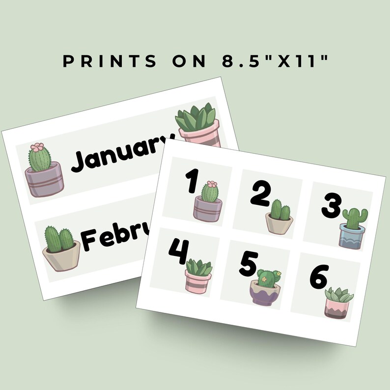 Cactus Classroom Calendar Set – Cute Succulent Theme Months & Numbers ...