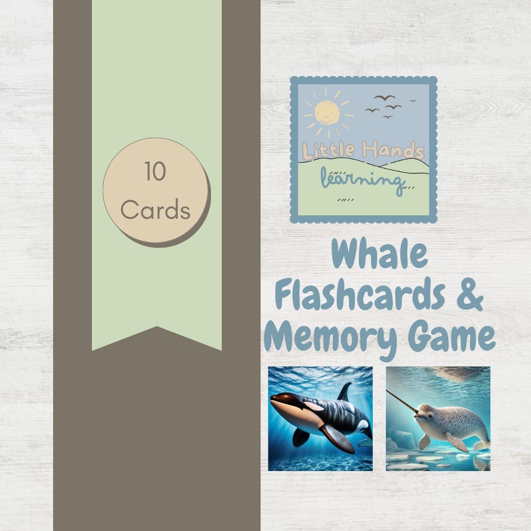Whale Flashcards and Memory Game Early Learning Zoology Mammals Science ...