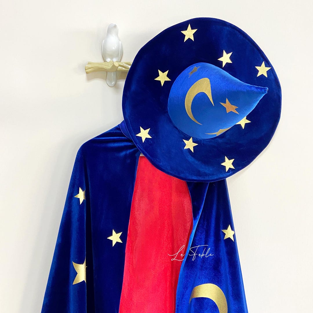 Velvet Wizard Kids Costume, Hat, Reversible Magical Costume - Etsy