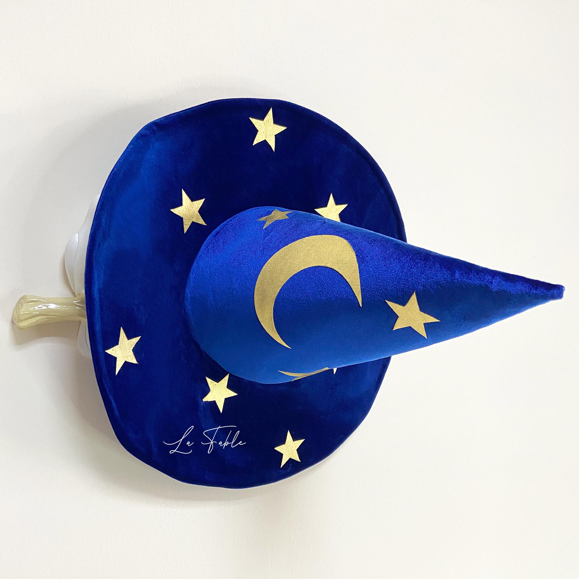 Wizard Costume and Wizard Hat, Halloween Costume, Carnival Costume for ...