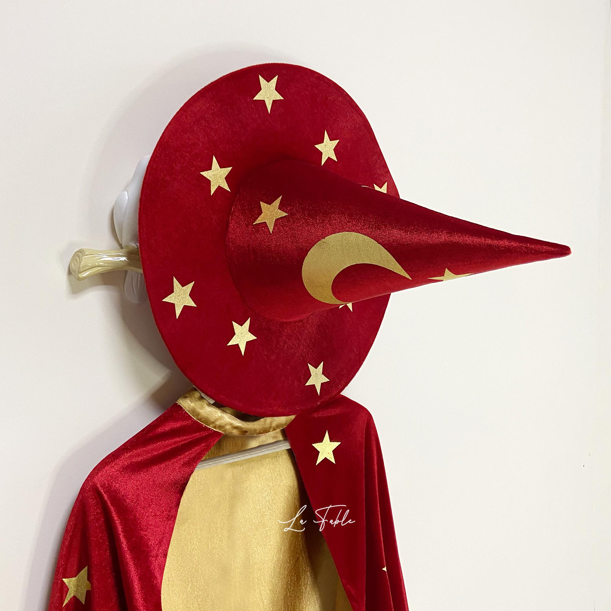 Red Wizard Costume and Wizard Hat, Halloween Costume, Carnival Costume ...