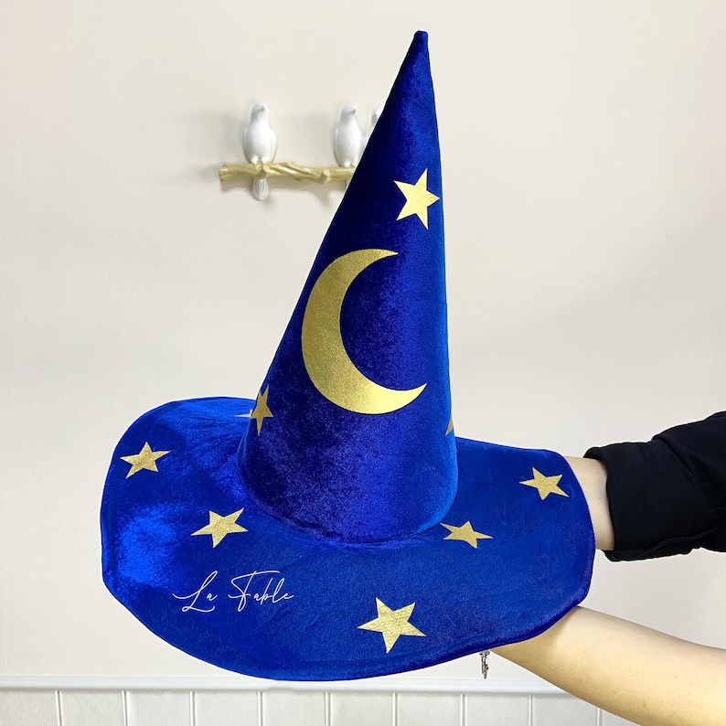 Velvet Wizard Kids Costume, Hat, Reversible Magical Costume - Etsy