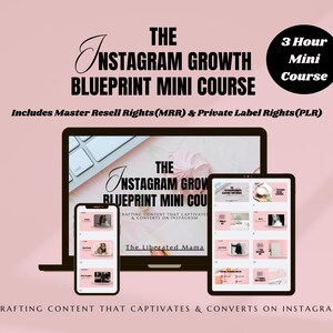 Instagram Growth Blueprint Mini Course | MRR PLR Digital Products for Etsy Sellers | Master ...