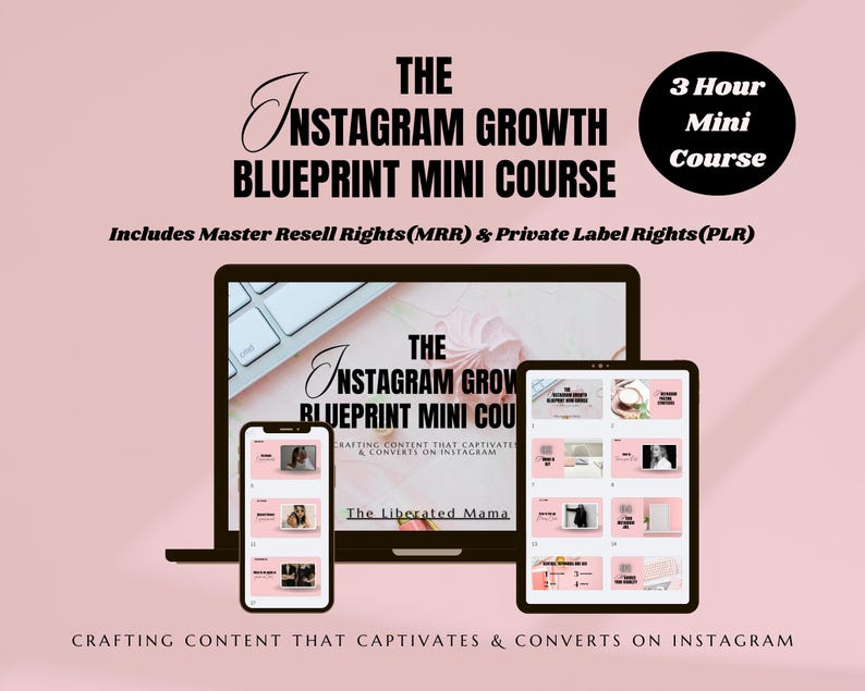 Instagram Growth Blueprint Mini Course | MRR PLR Digital Products for ...