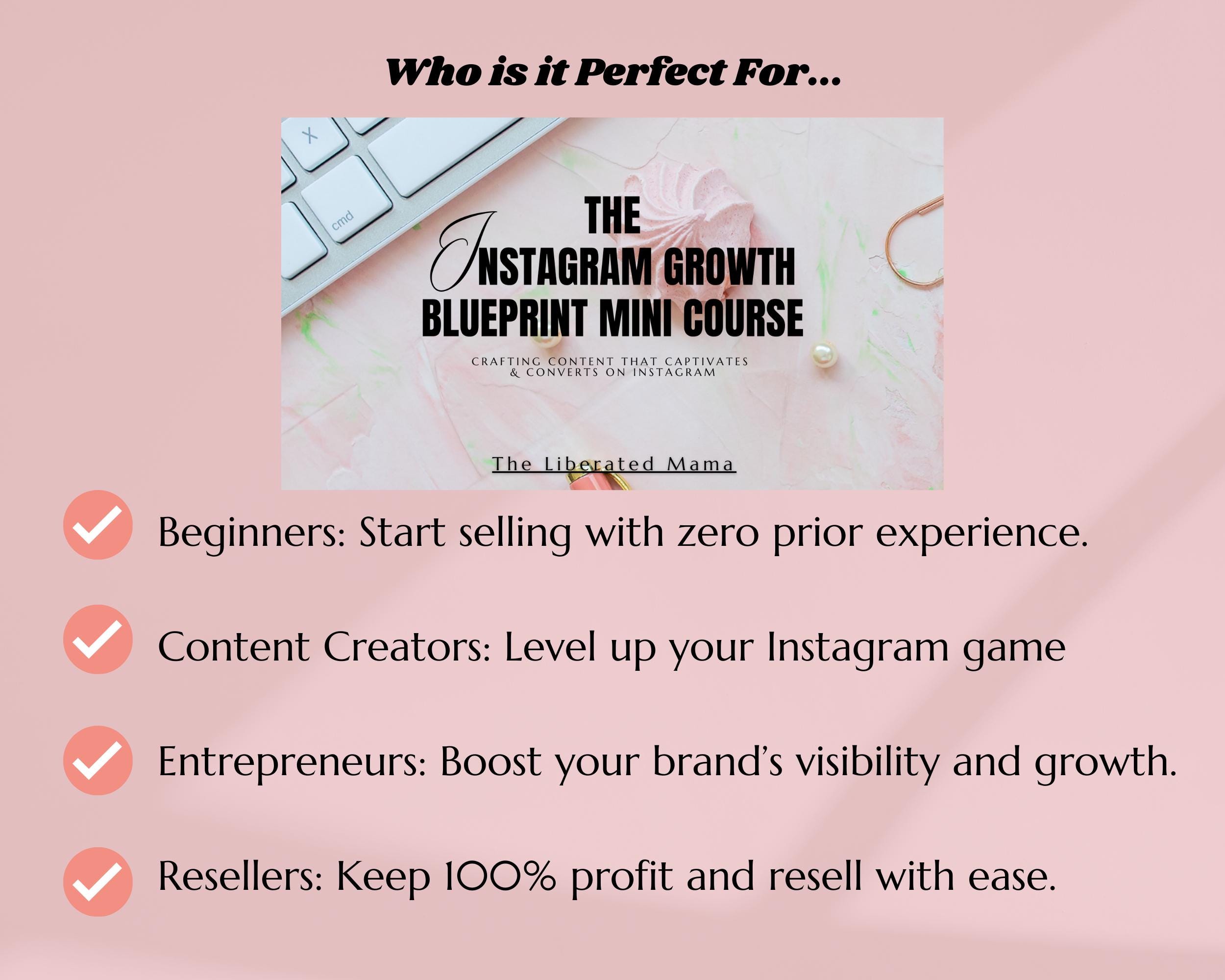 Instagram Growth Blueprint Mini Course | MRR PLR Digital Products for Etsy Sellers | Master ...