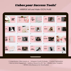 Instagram Growth Blueprint Mini Course | MRR PLR Digital Products for ...