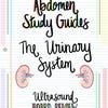 Vascular Ultrasound Review Complete Study Bundle for RVT Exam - Etsy