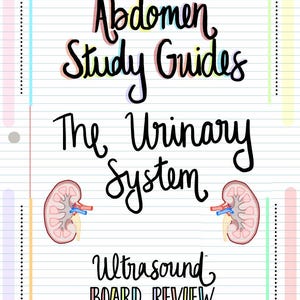 The Urinary System Study Guide - Etsy