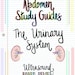 Vascular Ultrasound Review Complete Study Bundle for RVT Exam - Etsy