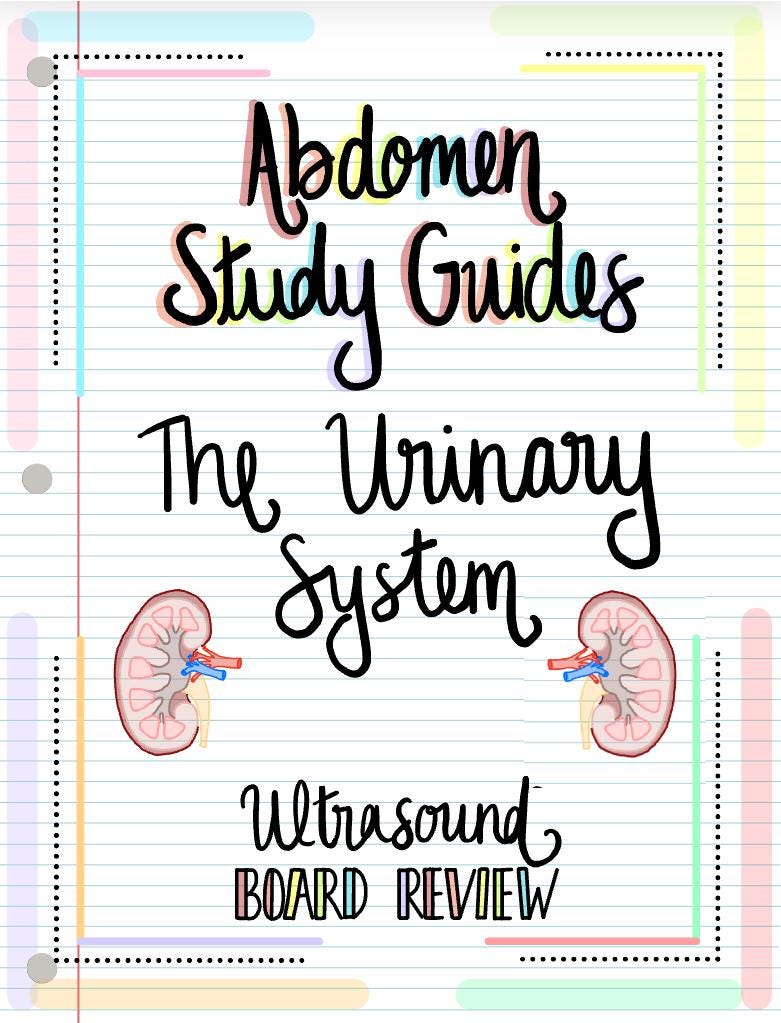 The Urinary System Study Guide - Etsy