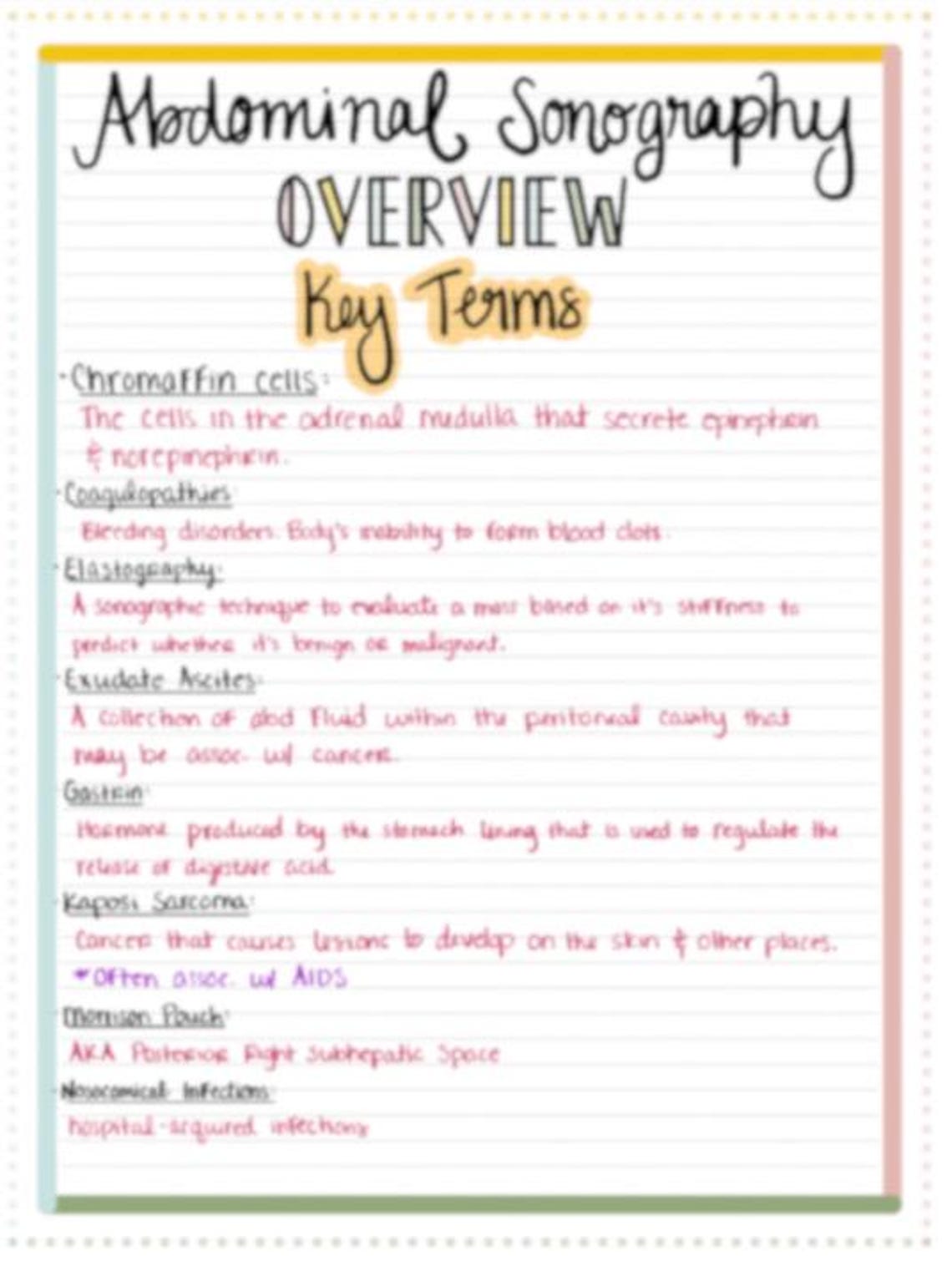 Abdominal Sonography Overview Study Guide - Etsy