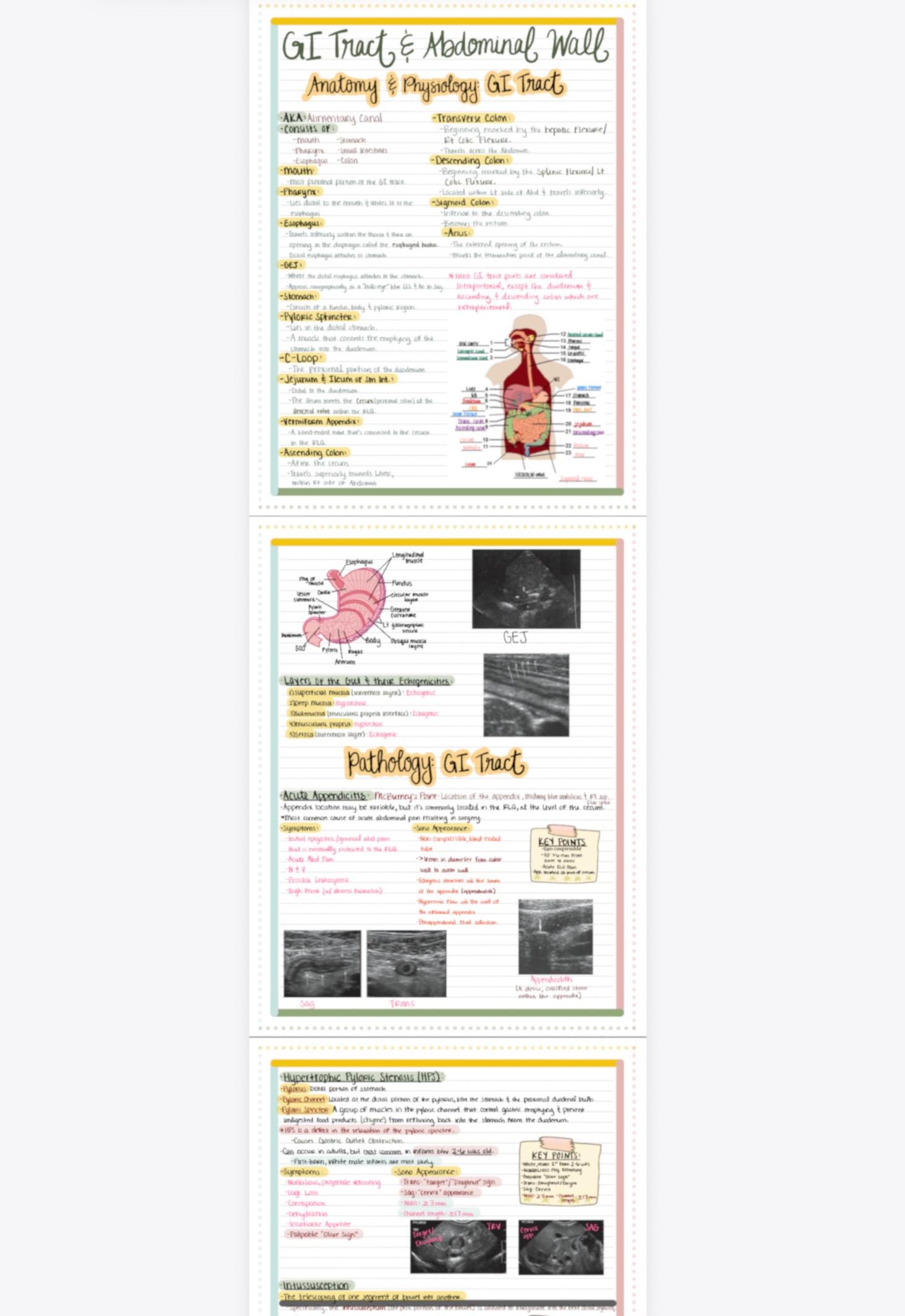 ARDMS Abdomen Board Complete Study Bundle - Etsy