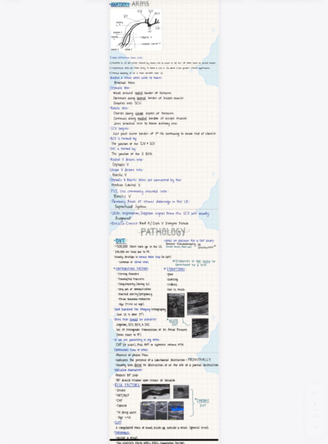 Venous Vascular Ultrasound Study Guide - Etsy