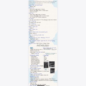 Venous Vascular Ultrasound Study Guide - Etsy
