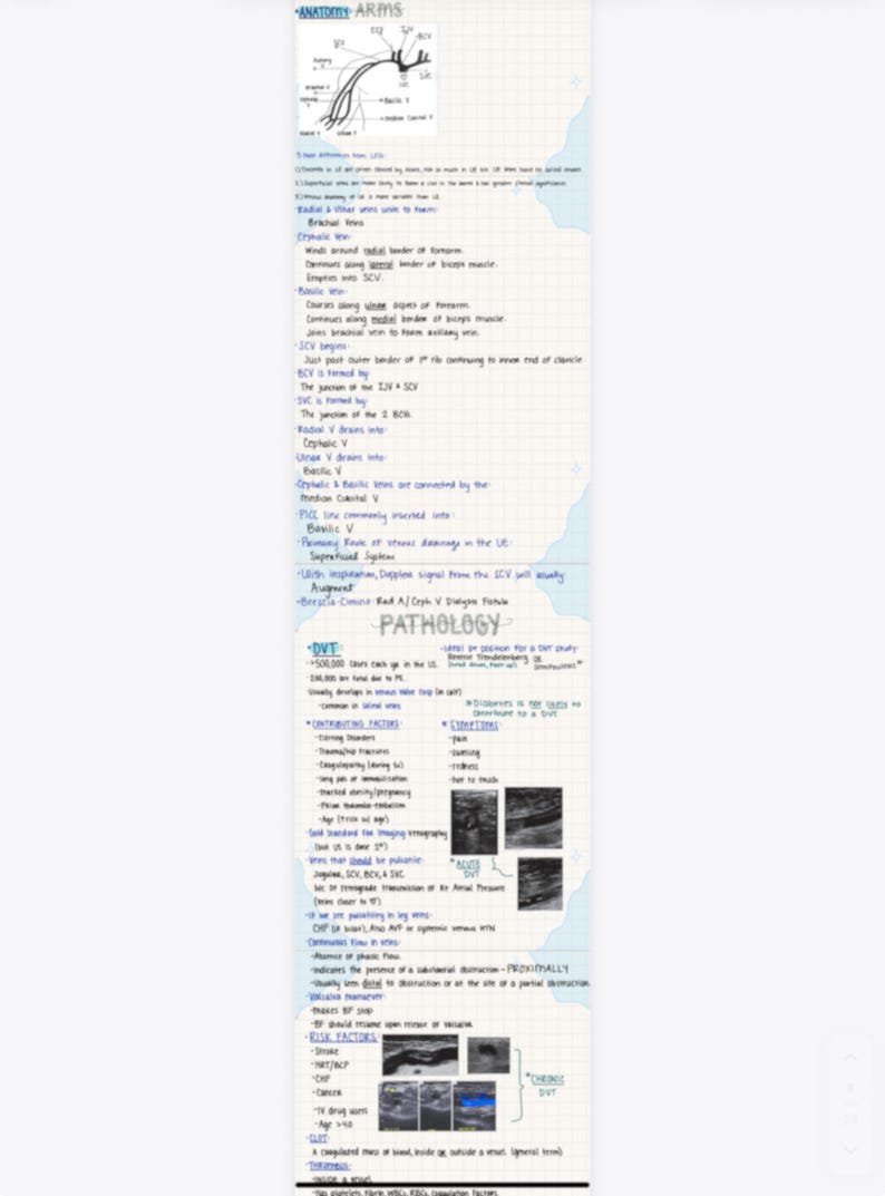 Venous Vascular Ultrasound Study Guide - Etsy