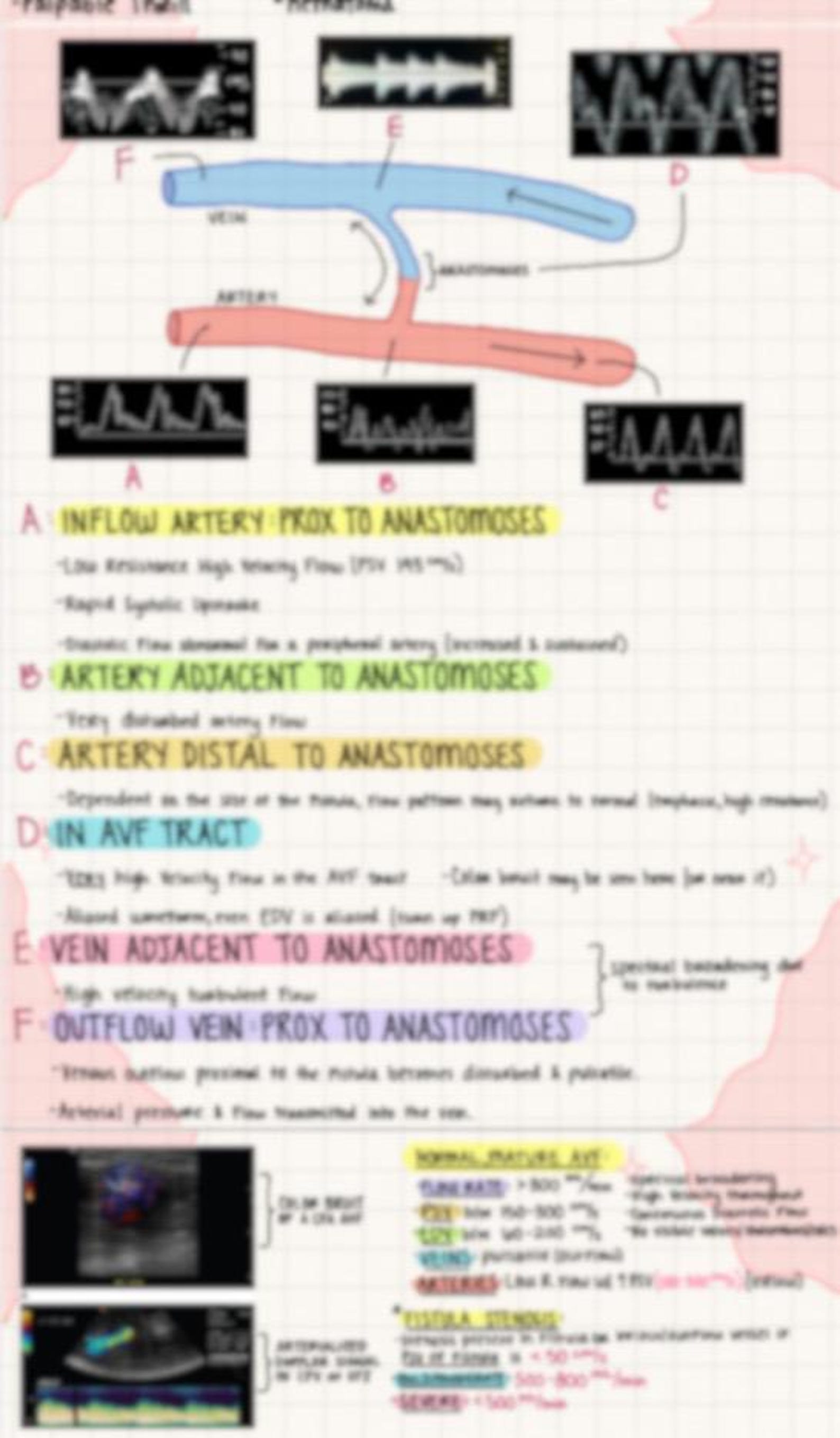 Vascular Ultrasound Review Complete Study Bundle for RVT Exam - Etsy