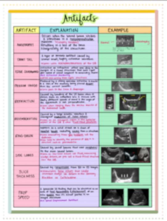 Abdominal Sonography Overview Study Guide - Etsy