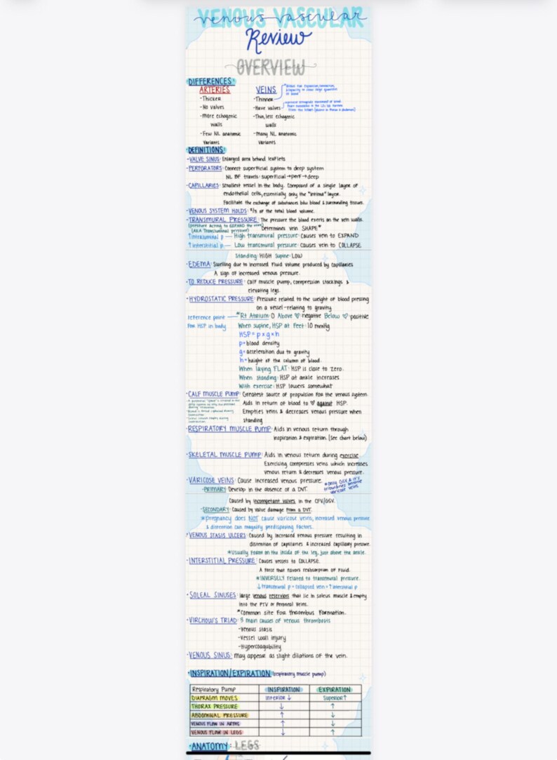 Venous Vascular Ultrasound Study Guide - Etsy