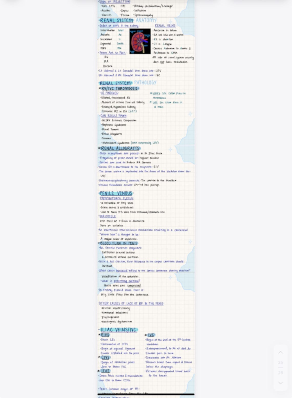 Venous Vascular Ultrasound Study Guide - Etsy