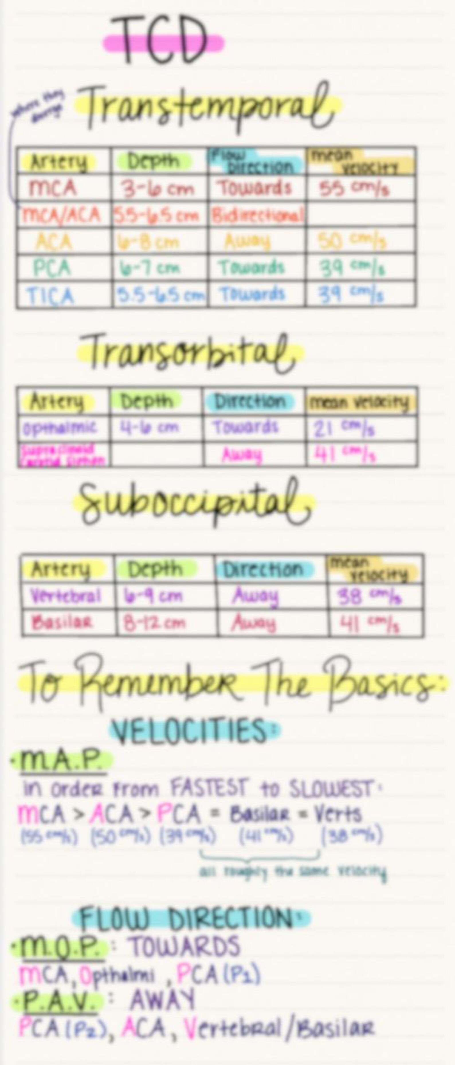 Vascular Ultrasound Review Complete Study Bundle for RVT Exam - Etsy