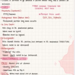 Vascular Ultrasound Review Complete Study Bundle for RVT Exam - Etsy