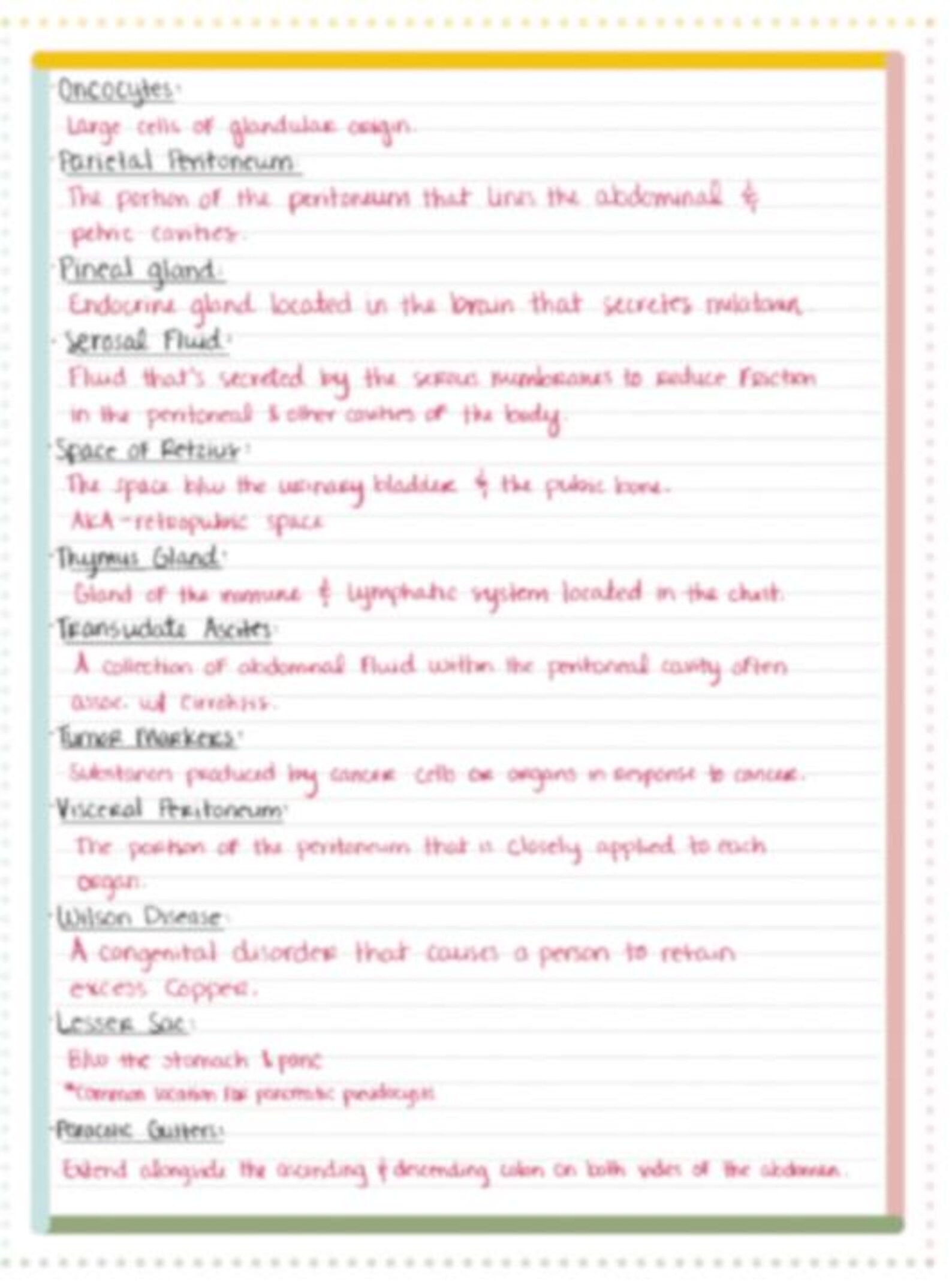 Abdominal Sonography Overview Study Guide - Etsy