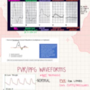 Vascular Ultrasound Review Complete Study Bundle for RVT Exam - Etsy