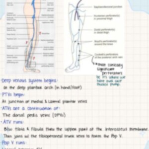 Vascular Ultrasound Review Complete Study Bundle for RVT Exam - Etsy
